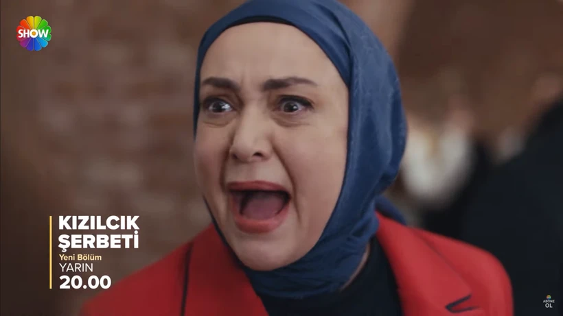 Kızılcık Şerbeti'nin Pembe'si Sibel Taşçıoğlu diziden ayrılıyor! Nedeni ...